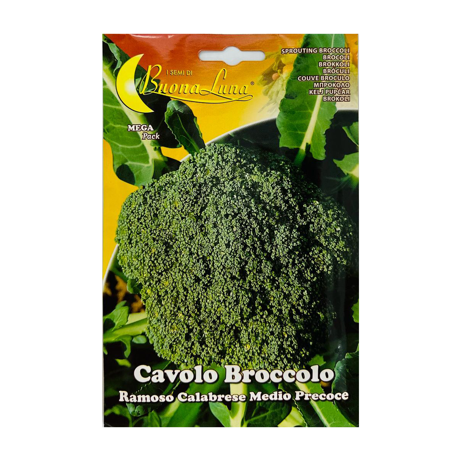 Buy Broccoli Seeds (Cavolo Broccolo Ramoso Calabrese) UAE