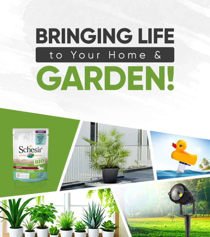 Indoor & Outdoor Plants | Garden Essentials & Pool Equipment